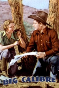 Big Calibre | Rotten Tomatoes