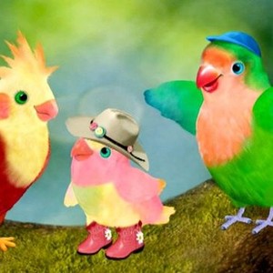 3rd & Bird: Season 1, Episode 22 - Rotten Tomatoes