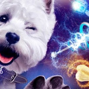 Star Paws - Rotten Tomatoes