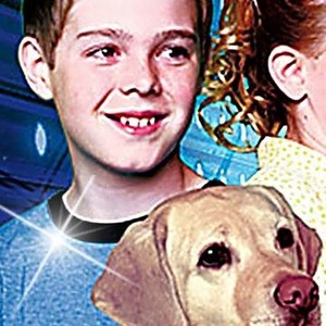 Cybermutt - Rotten Tomatoes