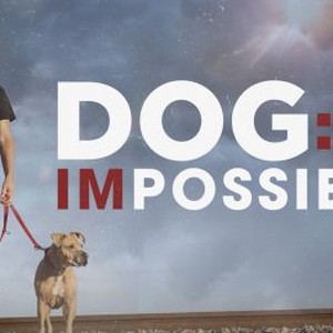 Dog: Impossible - Rotten Tomatoes