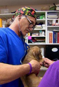 Dr. Jeff: Rocky Mountain Vet: Season 2, Episode 3 | Rotten Tomatoes