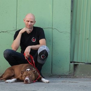 Dog: Impossible - Rotten Tomatoes