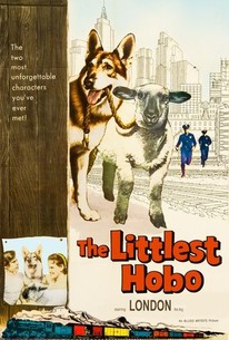 The Littlest Hobo | Rotten Tomatoes