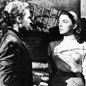 James Kenney - Rotten Tomatoes