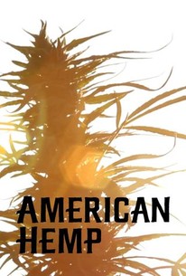 American Hemp - Movie Reviews - Rotten Tomatoes