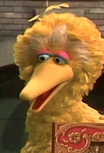 Sesame Street: Season 24, Episode 2 | Rotten Tomatoes