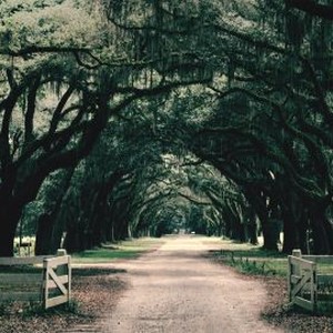 Southern Gothic - Rotten Tomatoes