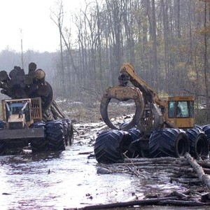 Swamp Loggers - Rotten Tomatoes