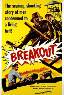 Breakout | Rotten Tomatoes