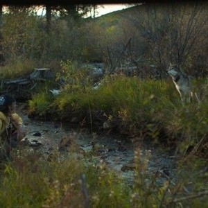 Druid Peak - Rotten Tomatoes