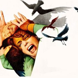 The Birds - Rotten Tomatoes
