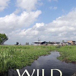 Wild Mississippi - Rotten Tomatoes