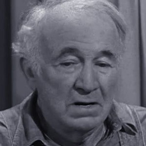 The Real McCoys: Season 6, Episode 17 - Rotten Tomatoes