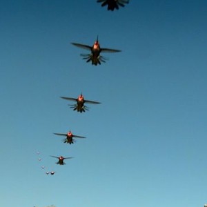 SuperNature -- Wild Flyers - Rotten Tomatoes