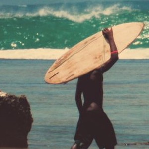 Splinters - Rotten Tomatoes