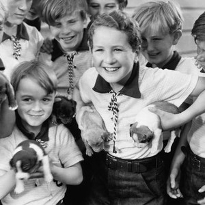 Bobby Breen - Rotten Tomatoes