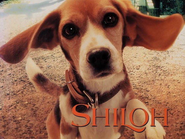 Shiloh The Movie Judd