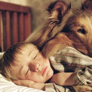 Lassie - Rotten Tomatoes