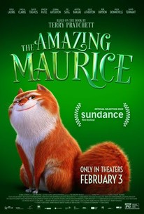 The Amazing Maurice | Reviews | Rotten Tomatoes