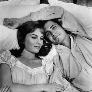 Donna Anderson - Rotten Tomatoes