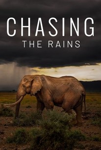Chasing the Rains: Season 1 | Rotten Tomatoes