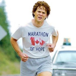 Terry - Rotten Tomatoes