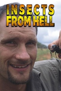 Insects From Hell | Rotten Tomatoes