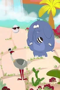 Squared Zebra: Season 1, Episode 1 | Rotten Tomatoes