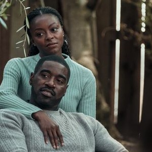 From Scratch - Rotten Tomatoes