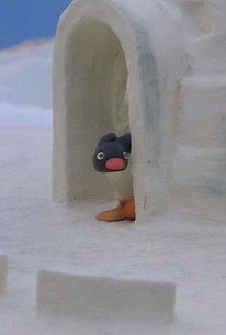 Pingu: Season 1, Episode 7 - Rotten Tomatoes