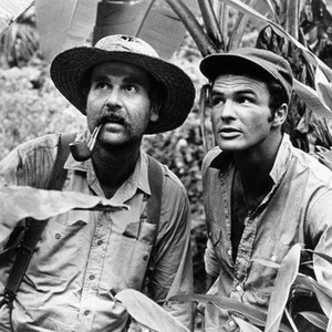 Burt Reynolds - Rotten Tomatoes