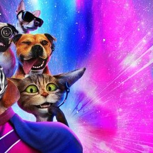 Wonder Dogs - Rotten Tomatoes