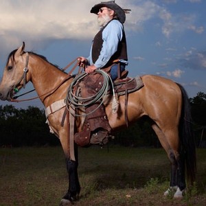 Jerry Campbell - Rotten Tomatoes