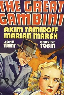 The Great Gambini | Rotten Tomatoes