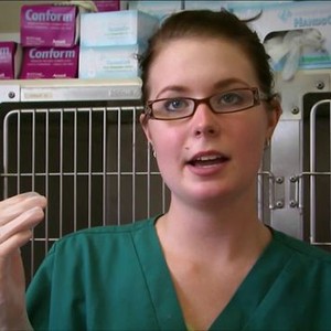 Hope in the Wild: Season 1, Episode 19 - Rotten Tomatoes