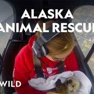 Alaska Animal Rescue - Rotten Tomatoes