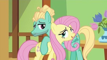 My Little Pony Friendship Is Magic Fluttershy