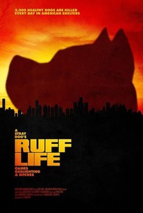 Ruff Life | Rotten Tomatoes