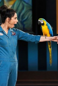 Stupid Pet Tricks: Season 1, Episode 10 | Rotten Tomatoes