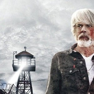 Crimson Point - Rotten Tomatoes