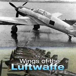 Wings of the Luftwaffe - Rotten Tomatoes