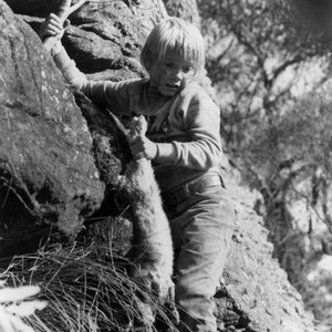 Ricky Schroder - Rotten Tomatoes