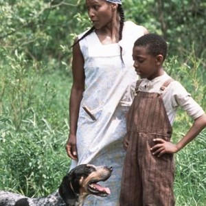 Sounder - Rotten Tomatoes