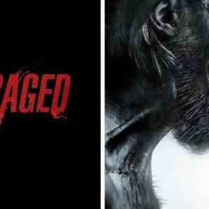 Uncaged - Rotten Tomatoes