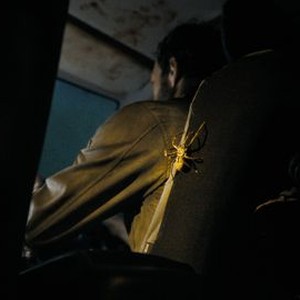 Mercy Road - Rotten Tomatoes