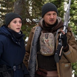 Wind River - Rotten Tomatoes