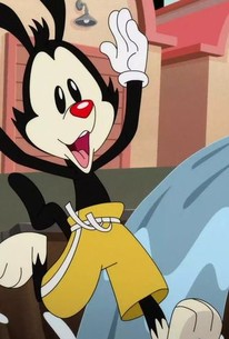 Animaniacs: Season 3, Episode 3 | Rotten Tomatoes