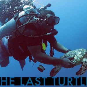 The Last Turtle - Rotten Tomatoes