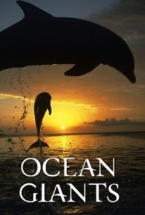 Ocean Giants: Season 1 | Rotten Tomatoes
